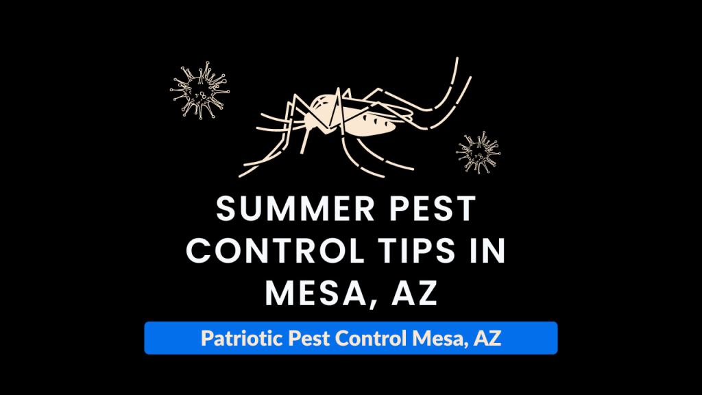Battling Summer Pests in Mesa, AZ: How Patriotic Pest Solutions Can He ...
